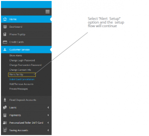 JN Live Credit Cards Alerts - JN Bank